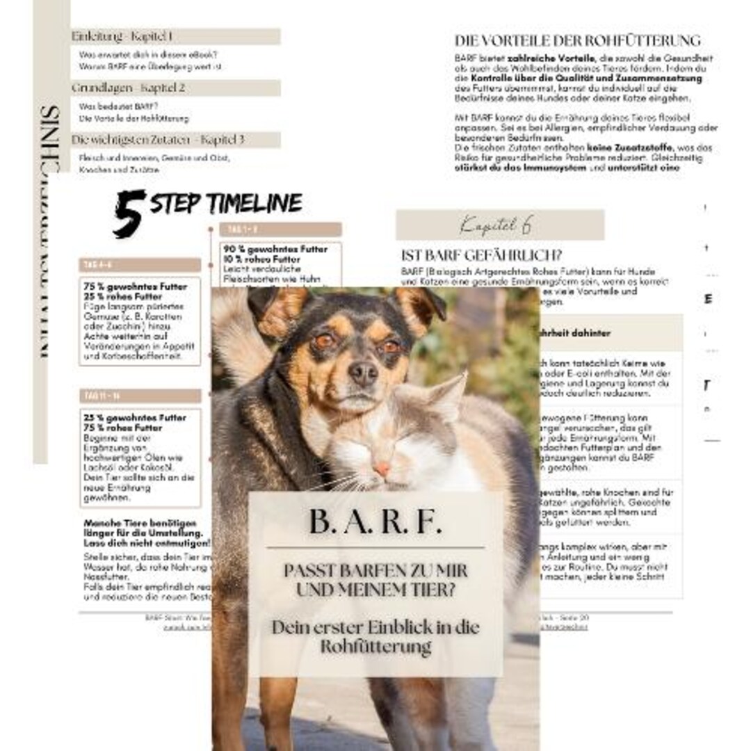 Barf Basic - is It Suitable for Me and My Pet? Dog; Cat, Barfing, Feed ...