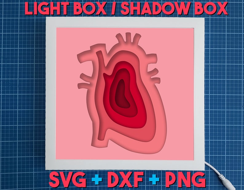 Heart Light Box / Shadow Box Template, Lightbox SVG Cricut, Anatomy ...