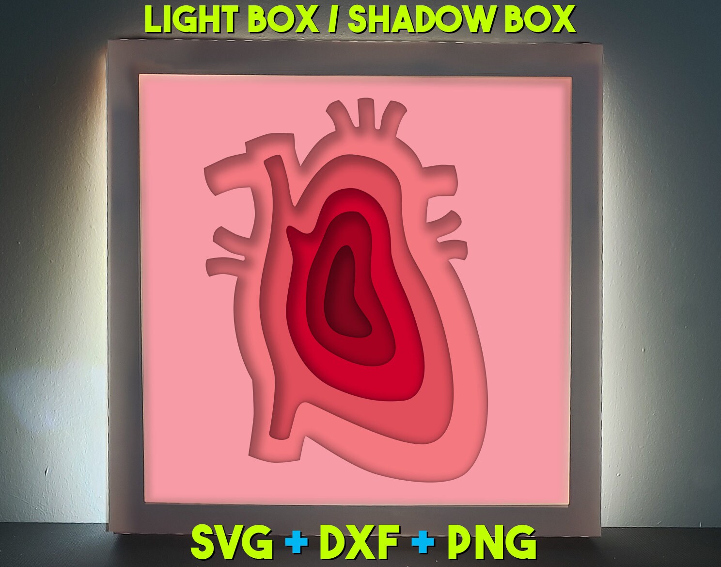 Heart Light Box / Shadow Box Template, Lightbox SVG Cricut, Anatomy ...