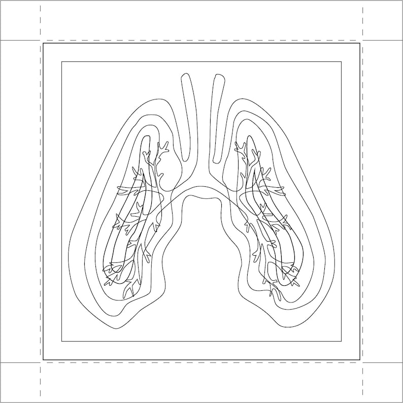 Lungs Light Box / Shadow Box Template, Lightbox SVG Cricut, Anatomy ...