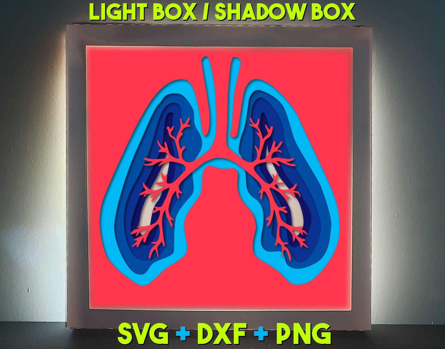 Lungs Light Box / Shadow Box Template, Lightbox SVG Cricut, Anatomy ...