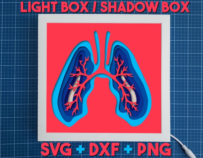 Lungs Light Box / Shadow Box Template, Lightbox SVG Cricut, Anatomy ...