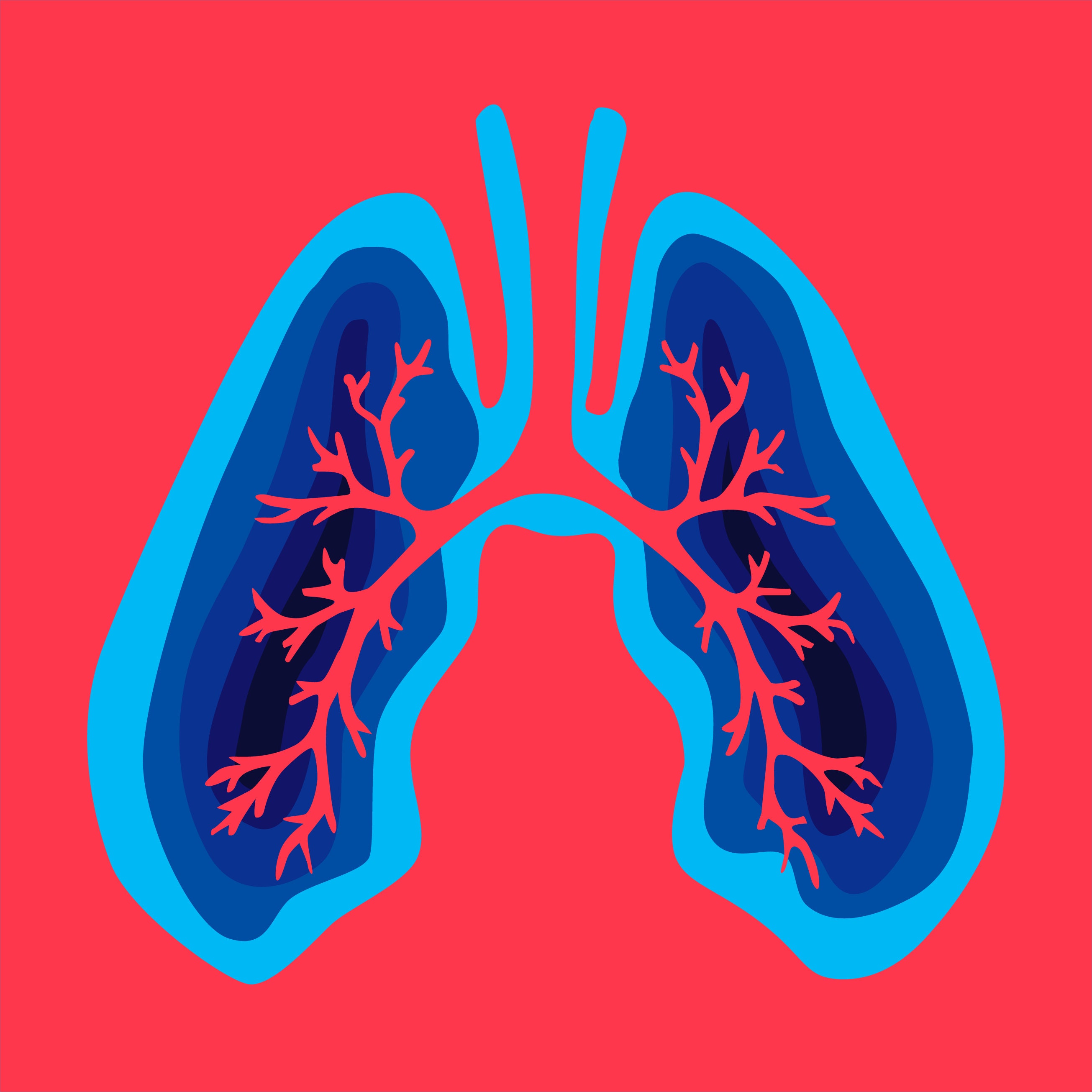Lungs Light Box / Shadow Box Template, Lightbox SVG Cricut, Anatomy ...