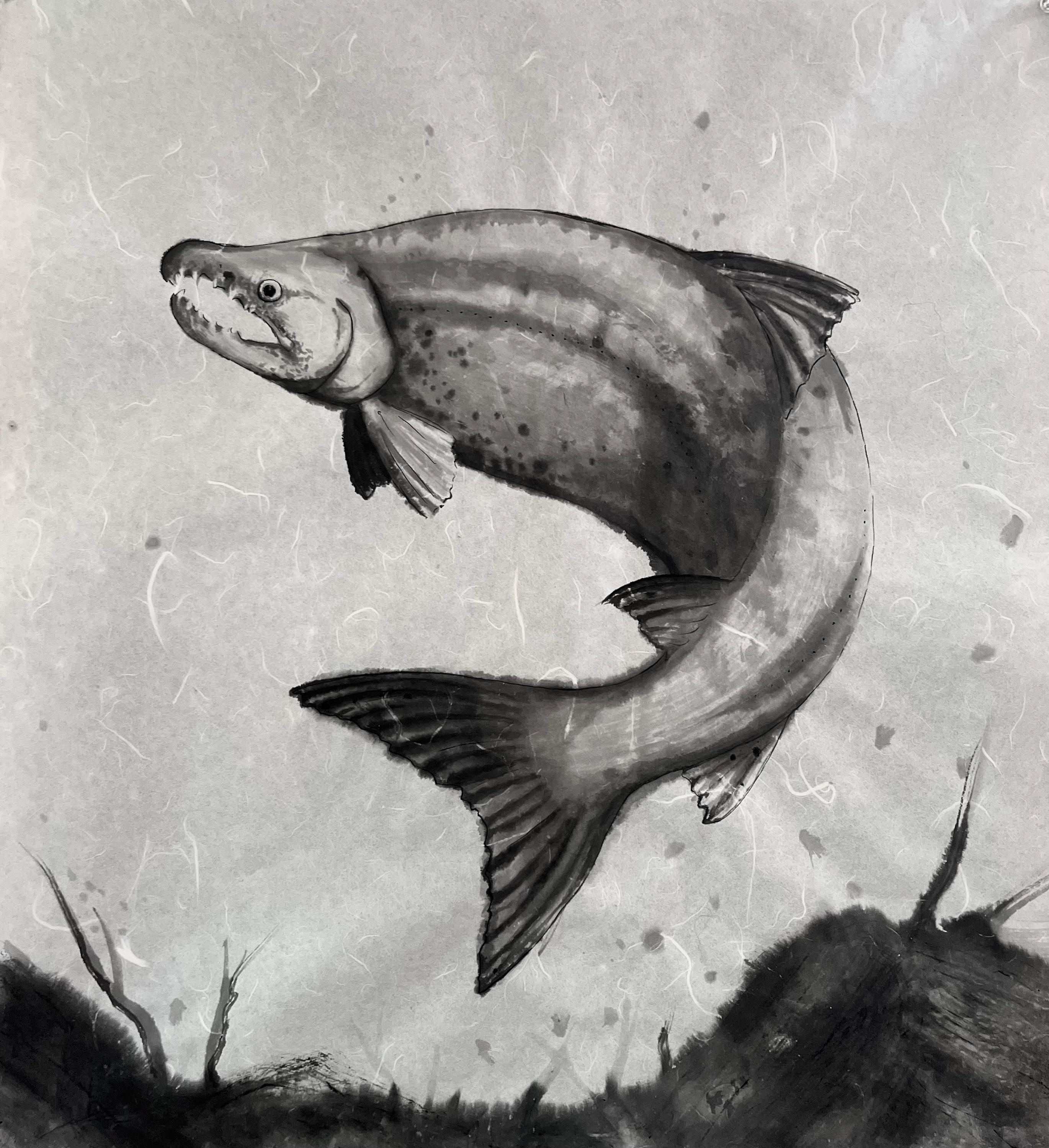 Swimming Sockeye Salmon - Sumi Ink Original on Mulberry Paper - 21 X 23 ...