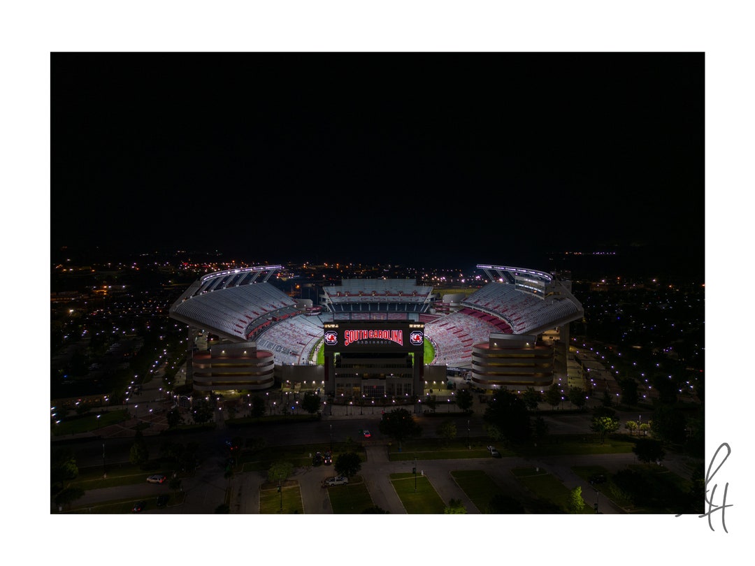 William's Brice Night Stadium Print - Etsy