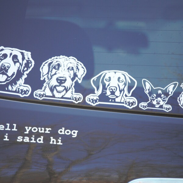 Vinyl Dog Name Decal - Etsy