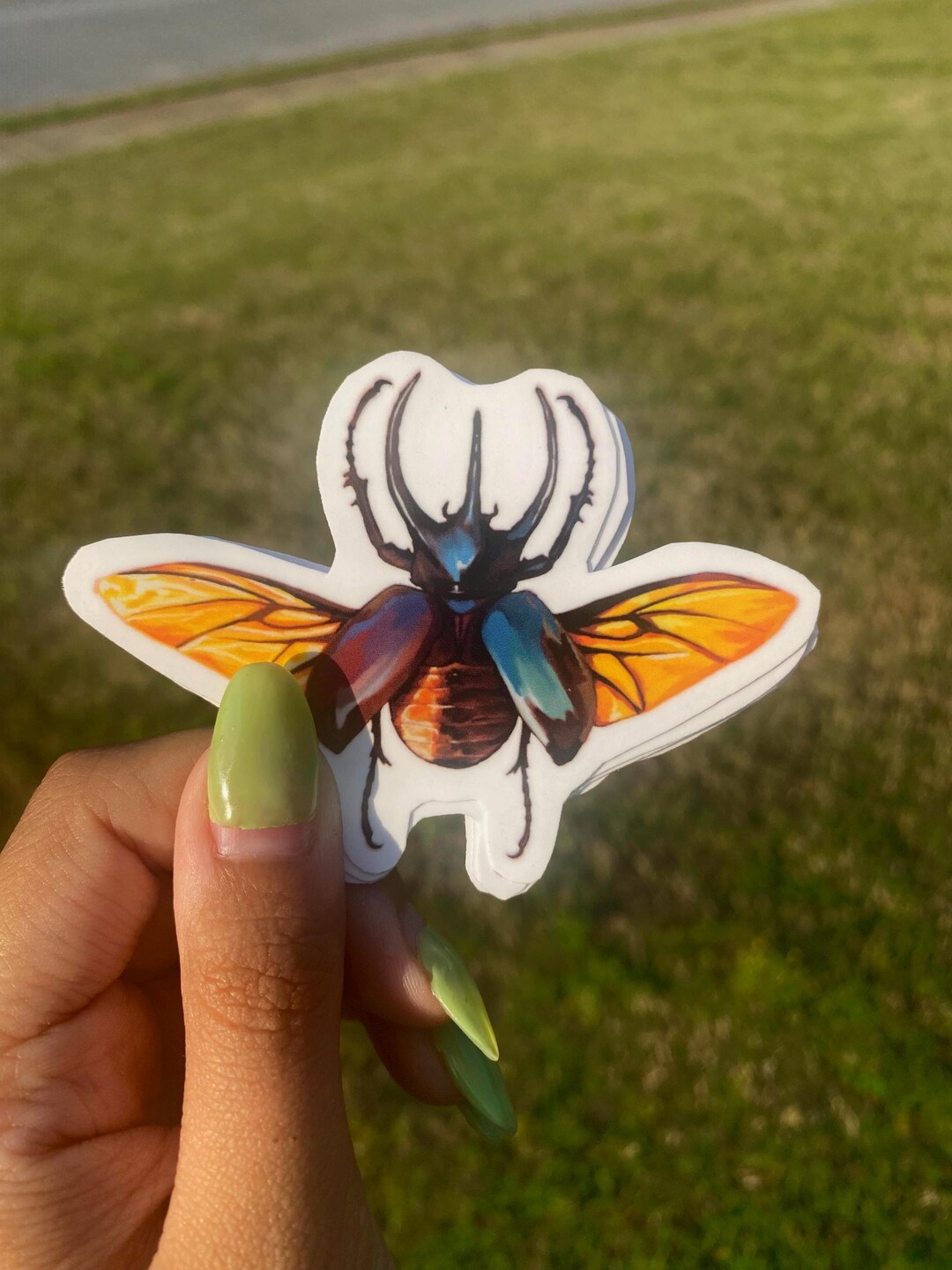 Colorful Realistic Beetle Sticker Decal - Etsy