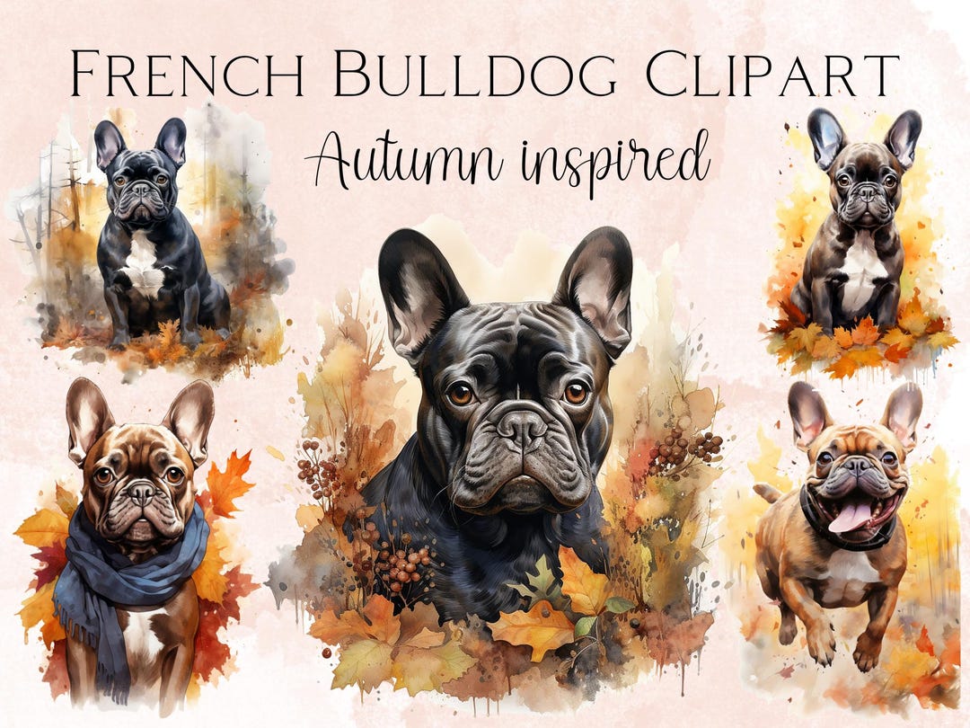 Watercolor French Bulldog Clipart Autumn Inspired - Etsy
