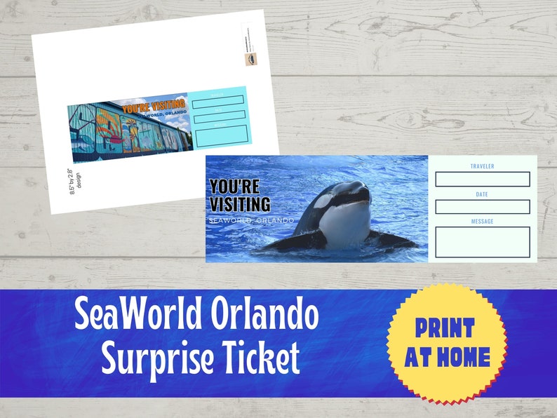 Printable Theme Park Ticket, Surprisetrip Reveal Ticket, Birthday Party ...