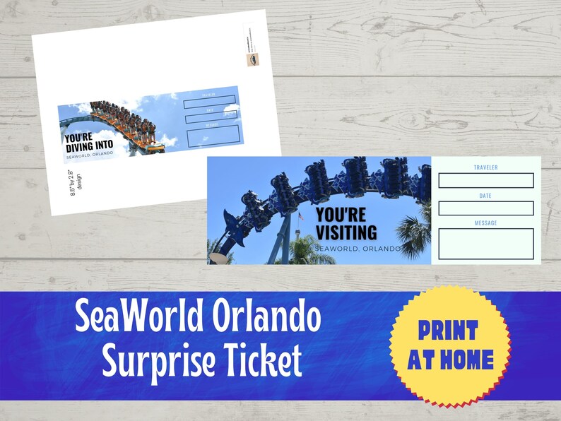 Printable Theme Park Ticket, Roller Coaster Capitol, Birthday Party ...