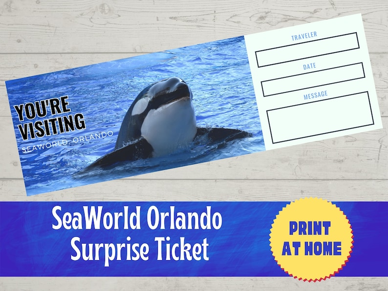Printable Theme Park Ticket, Surprisetrip Reveal Ticket, Birthday Party ...