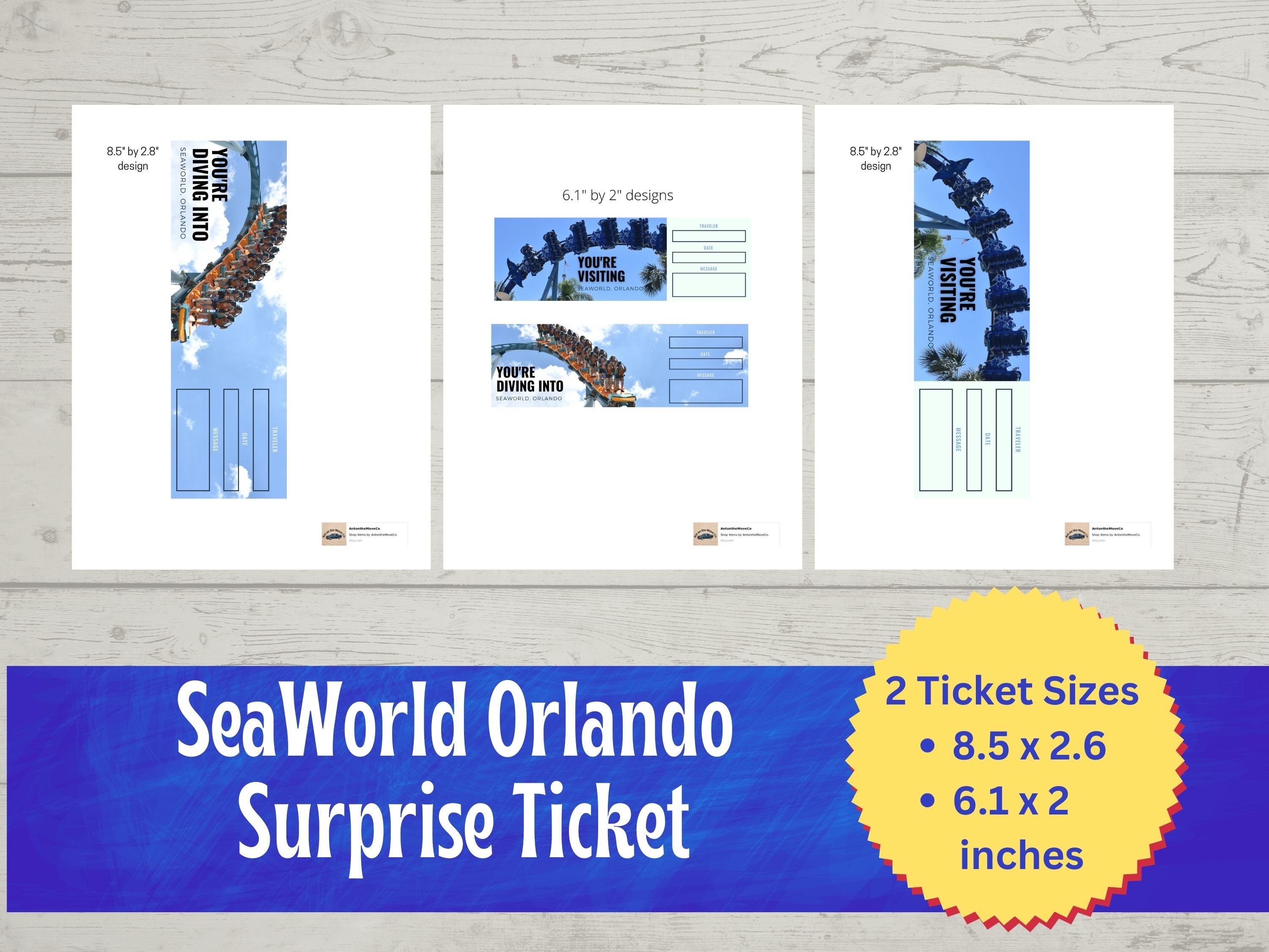 Printable Theme Park Ticket, Roller Coaster Capitol, Birthday Party ...