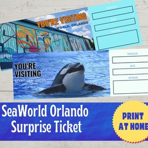 Printable Theme Park Ticket, Surprisetrip Reveal Ticket, Birthday Party ...