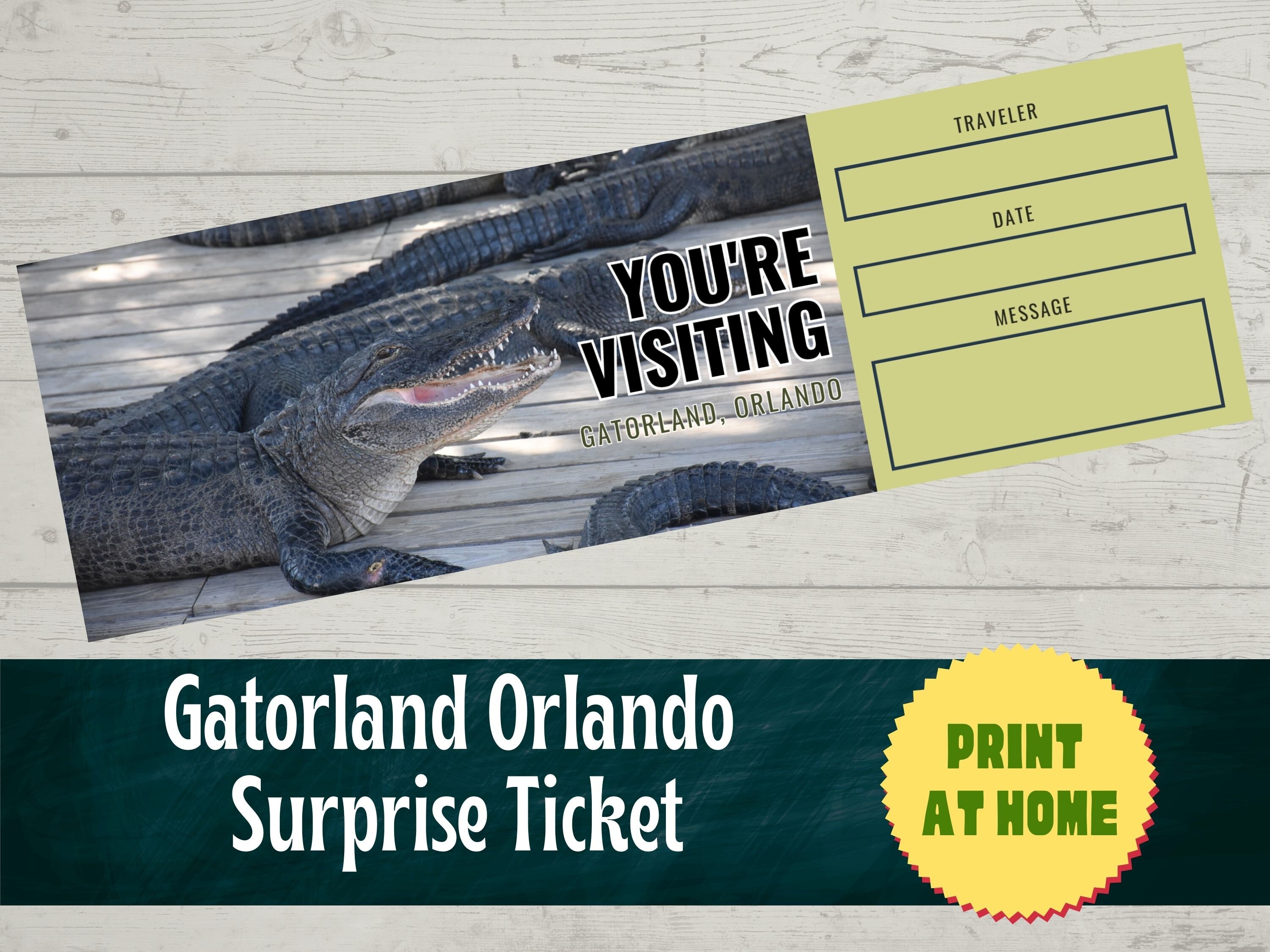 Gatorland Printable Surprise Ticket, Surprise Trip Reveal Ticket ...