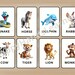 Enchanting Animal Flashcards - Explore the Wonders of the Animal ...