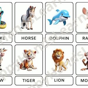Enchanting Animal Flashcards - Explore the Wonders of the Animal ...