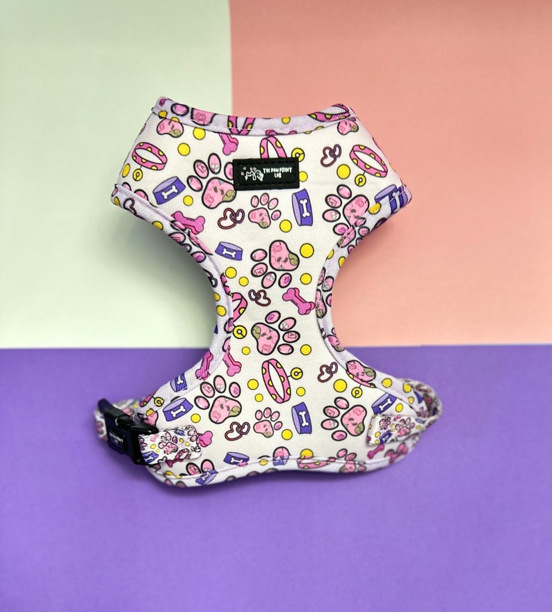 Pink Dog Harness Set, "that's My Baby Dog" Print, Collar, Leash ...