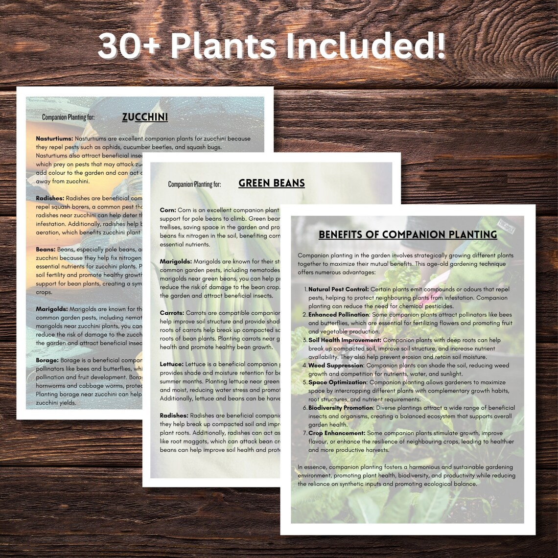 Companion Planting Guide Garden Planting Chart Garden Planner Garden ...