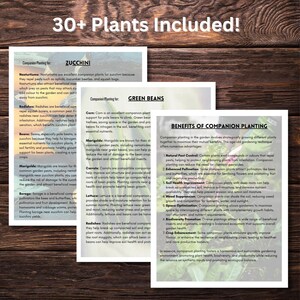Companion Planting Guide Garden Planting Chart Garden Planner Garden ...