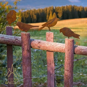 Rusty Birds Garden Decoration, 4 Piece Rusty Metal Birds Set, Garden ...