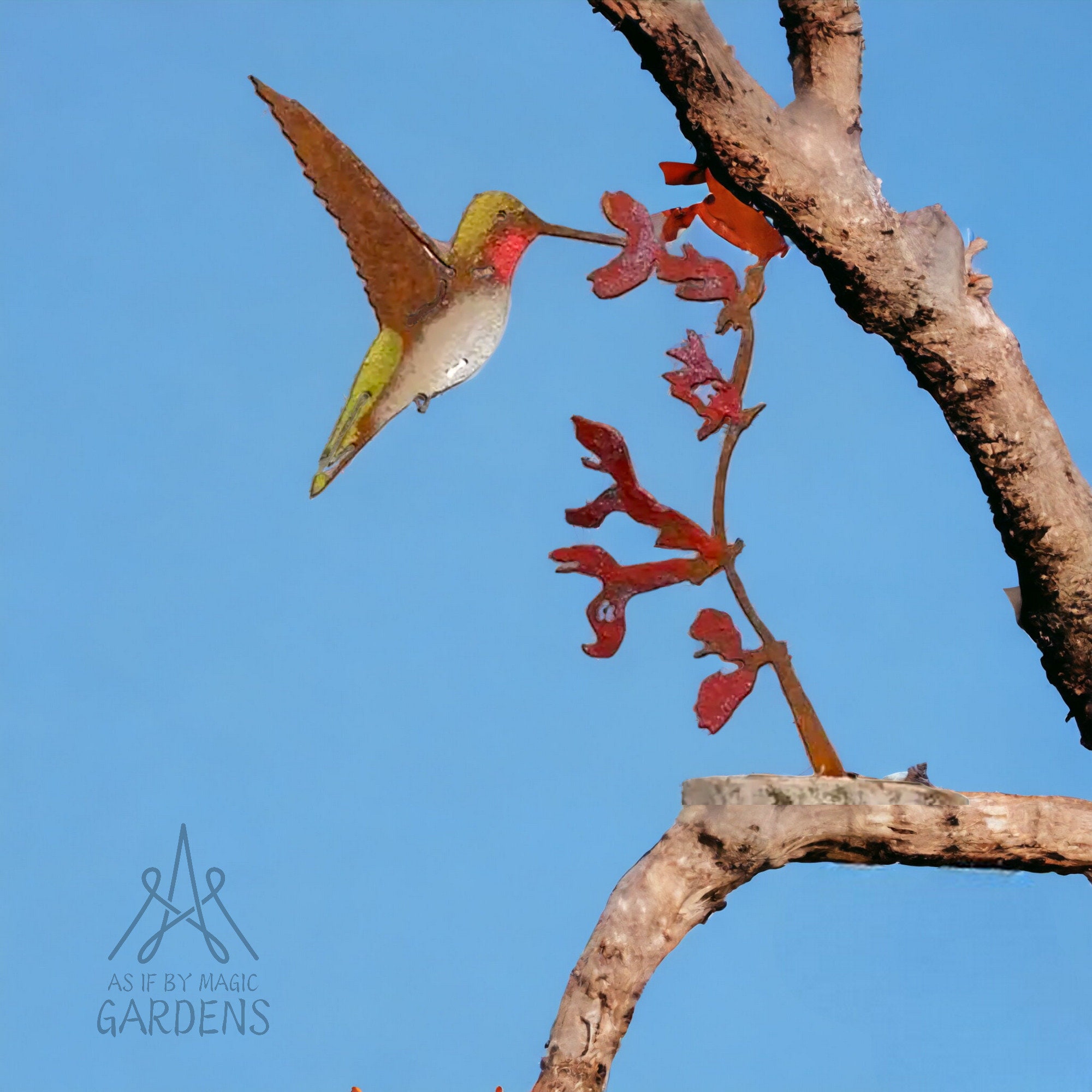 Colourful Metal Birds Garden Decoration, Rusty Metal Bird Garden Stake ...