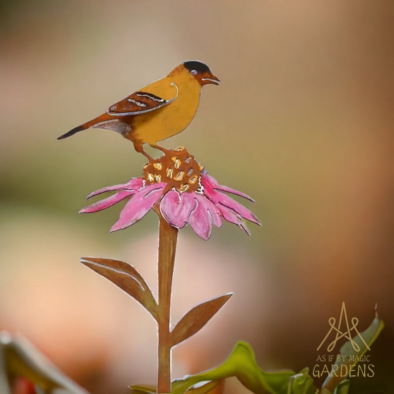 Colourful Metal Birds Garden Decoration, Rusty Metal Bird Garden Stake ...