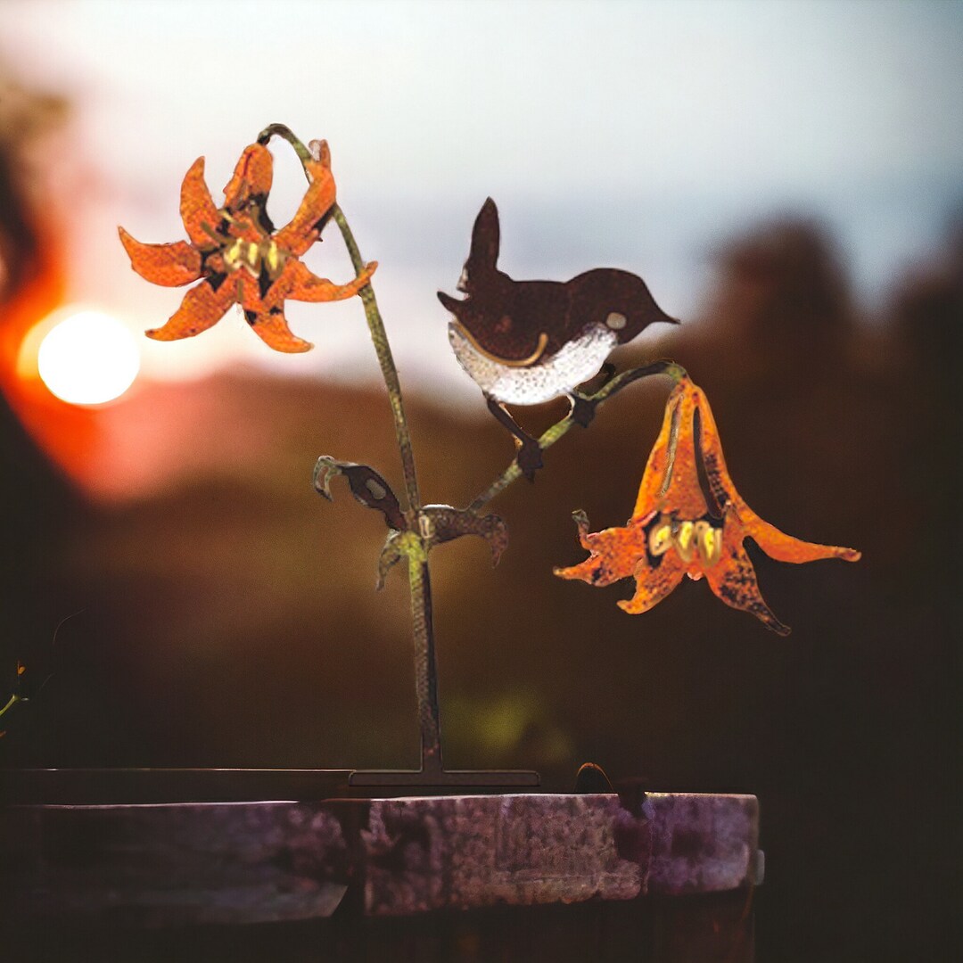 Colourful Rusty Bird Garden Ornaments, Metal Garden Bird Outline Fence ...