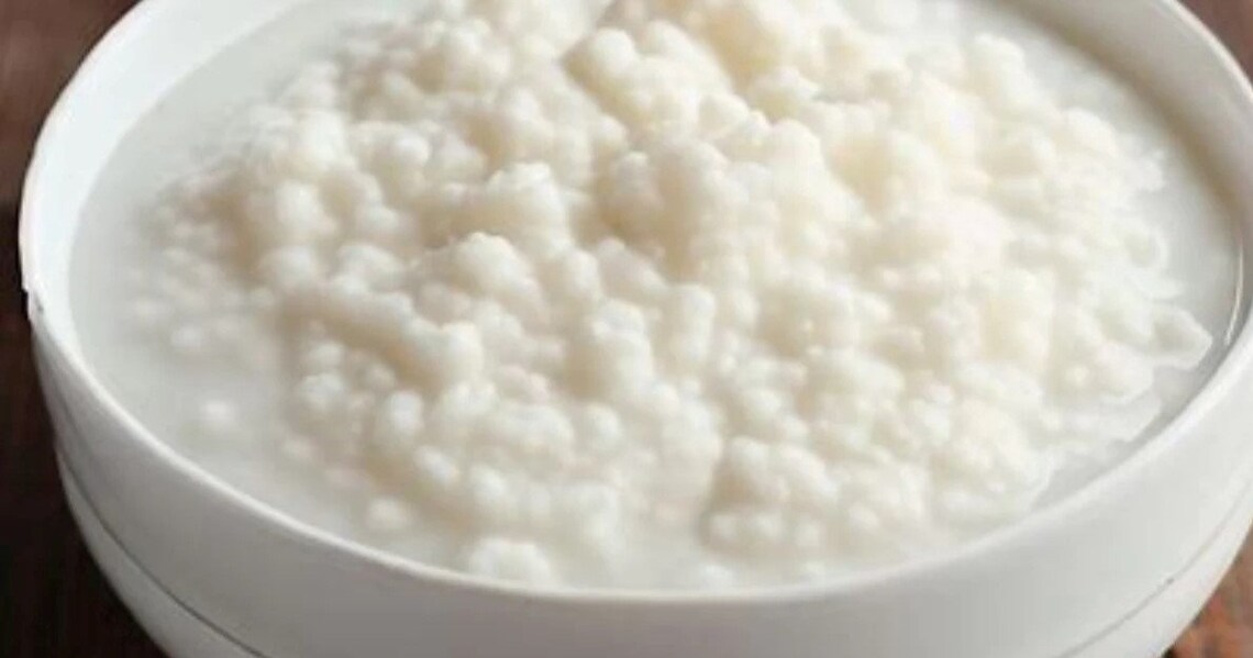 Fresh Live Organic Kefir Grains for Sale / Instructions Included / Buy ...