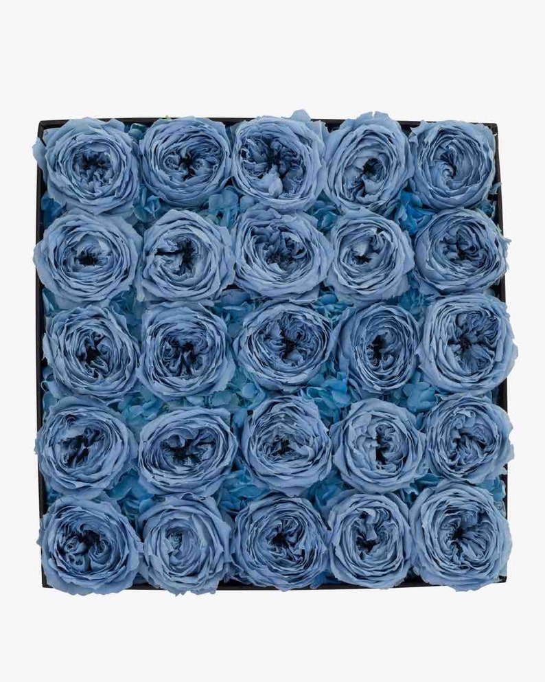 Azure Preserved Roses With Oud Scent, Eternal Blooms in Box - Etsy