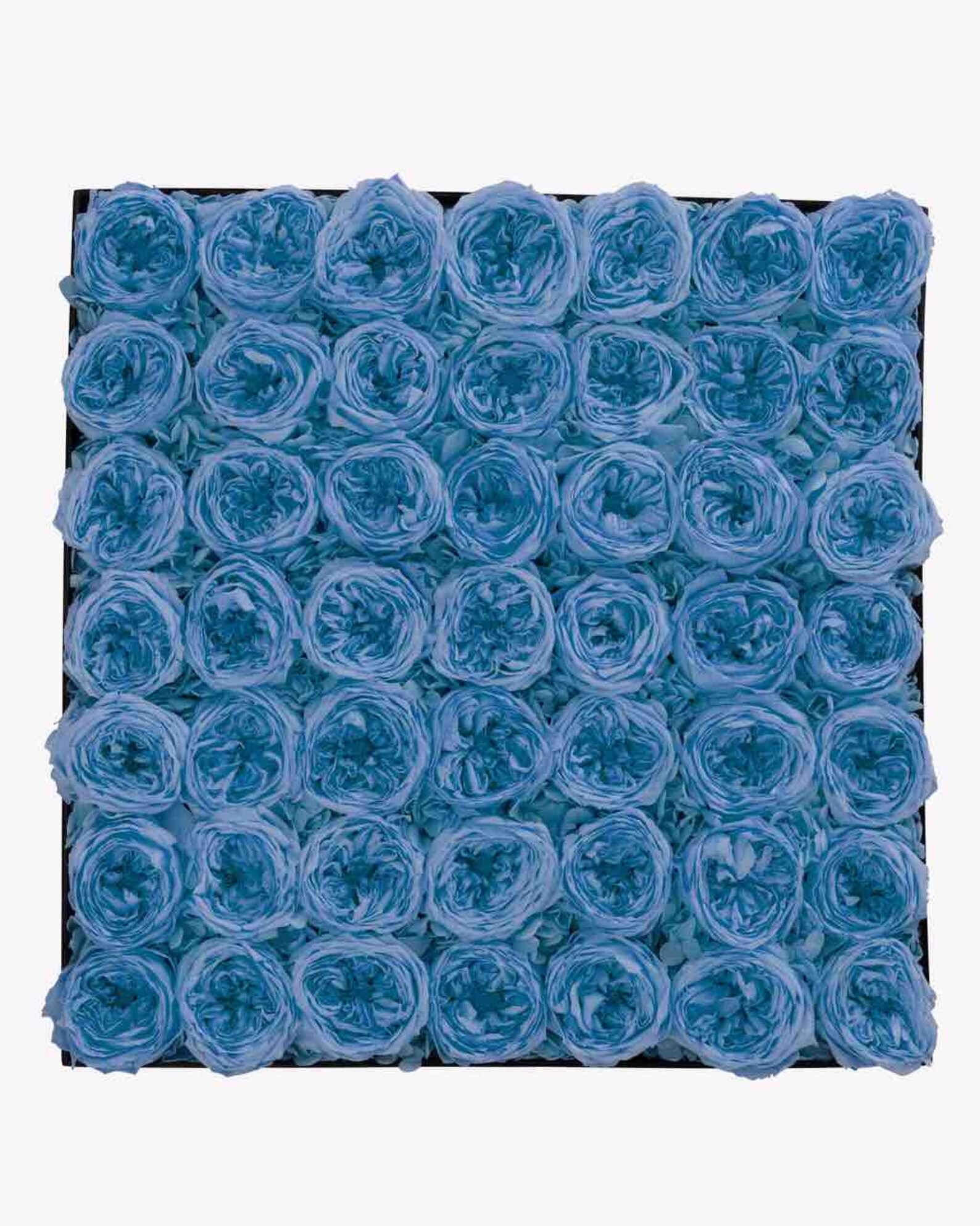 Azure Preserved Roses With Oud Scent, Eternal Blooms in Box - Etsy