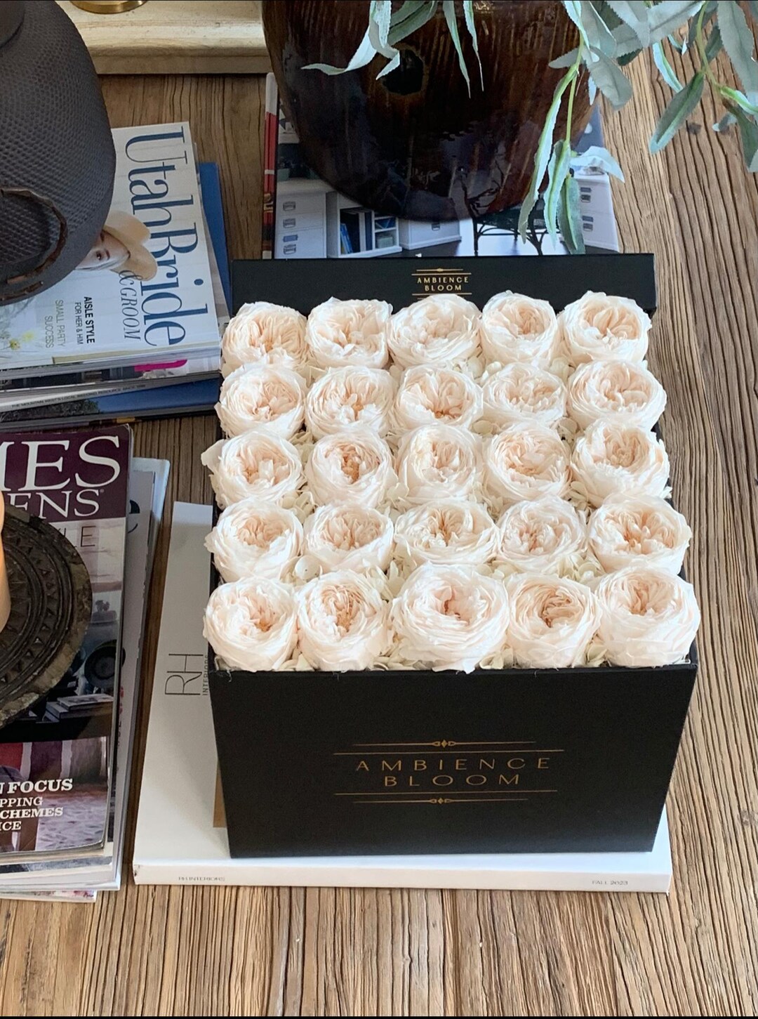 Oud Scented Ivory Champagne Preserved Roses: XL Forever Flowers - Etsy