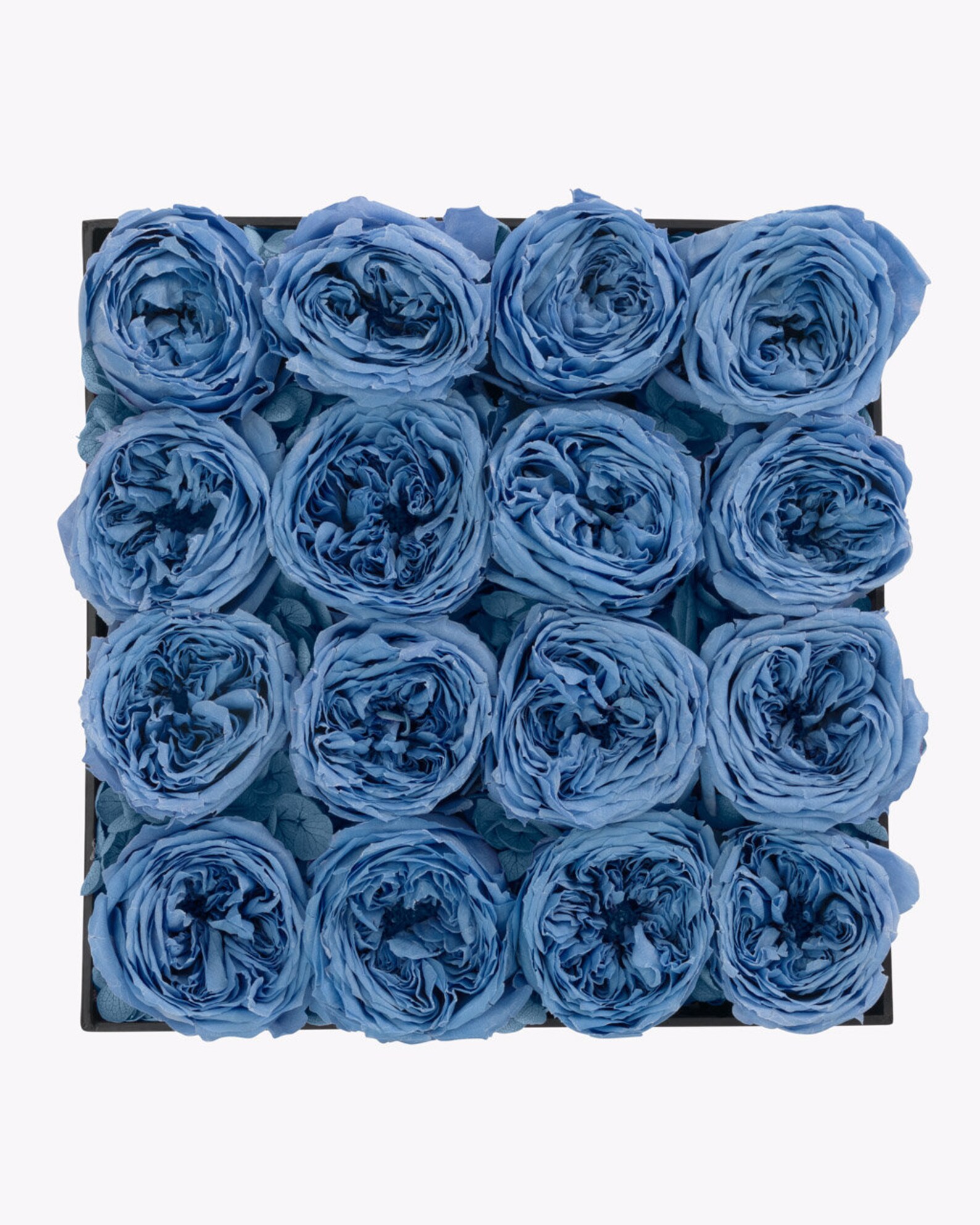 Azure Preserved Roses With Oud Scent, Eternal Blooms in Box - Etsy