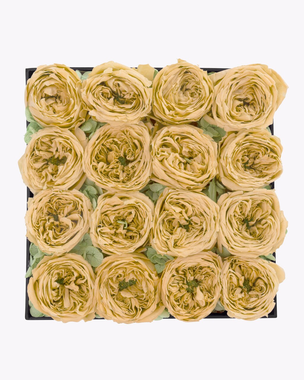 Preserved Yellow Garden Roses Princess Petals, Oud Scented, Wedding ...
