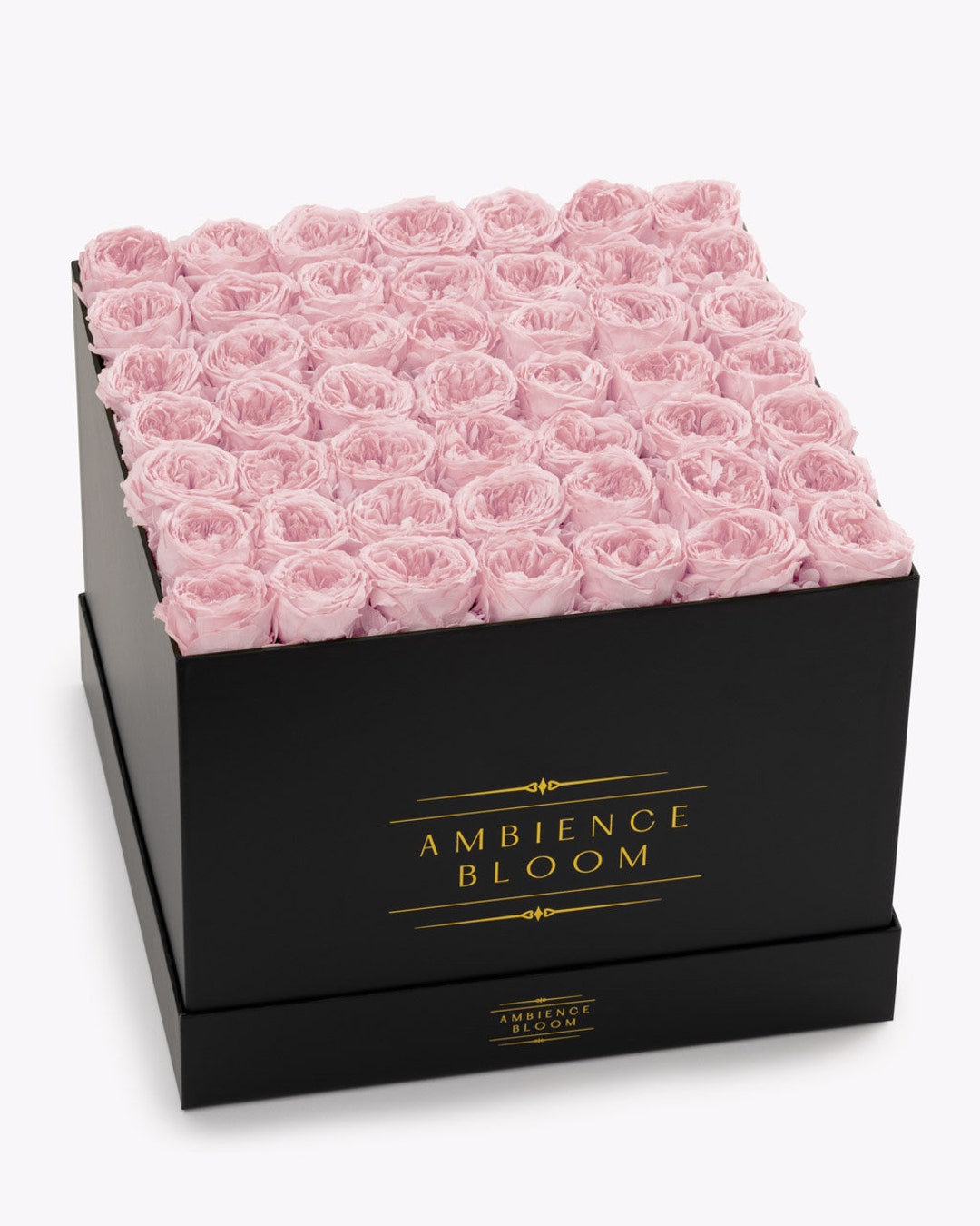 Preserved Blush Pink Garden Rose Princess Petal, Oud Scented, Wedding ...