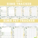 The Sims 4 Biography Tracker, Sim Profile Planner, Sims and Pets - Etsy