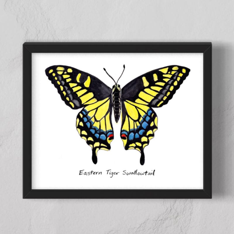 Tiger Swallowtail - Etsy