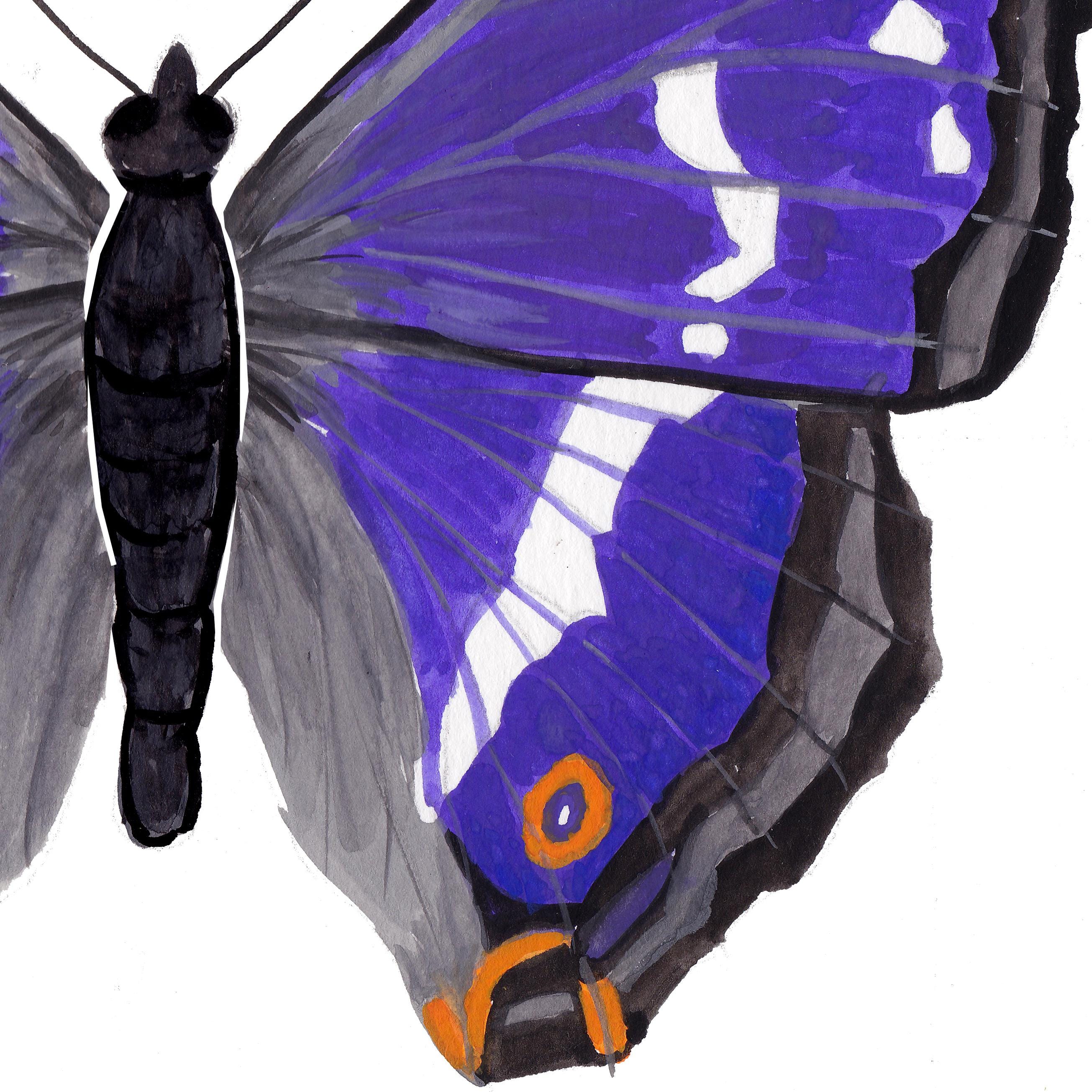 Purple Emperor Butterfly Painting Print - Etsy