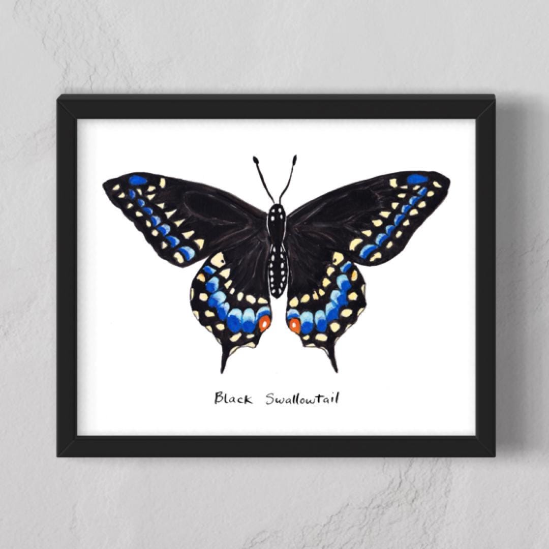 Black Swallowtail Butterfly Painting Print - Etsy