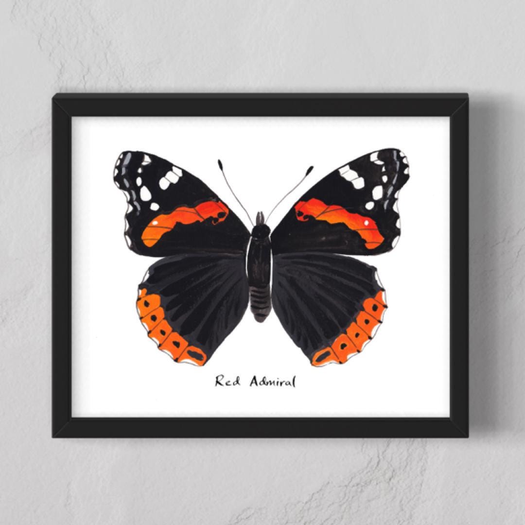 Red Admiral Butterfly Painting Print - Etsy