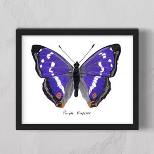 Purple Emperor Butterfly Painting Print - Etsy