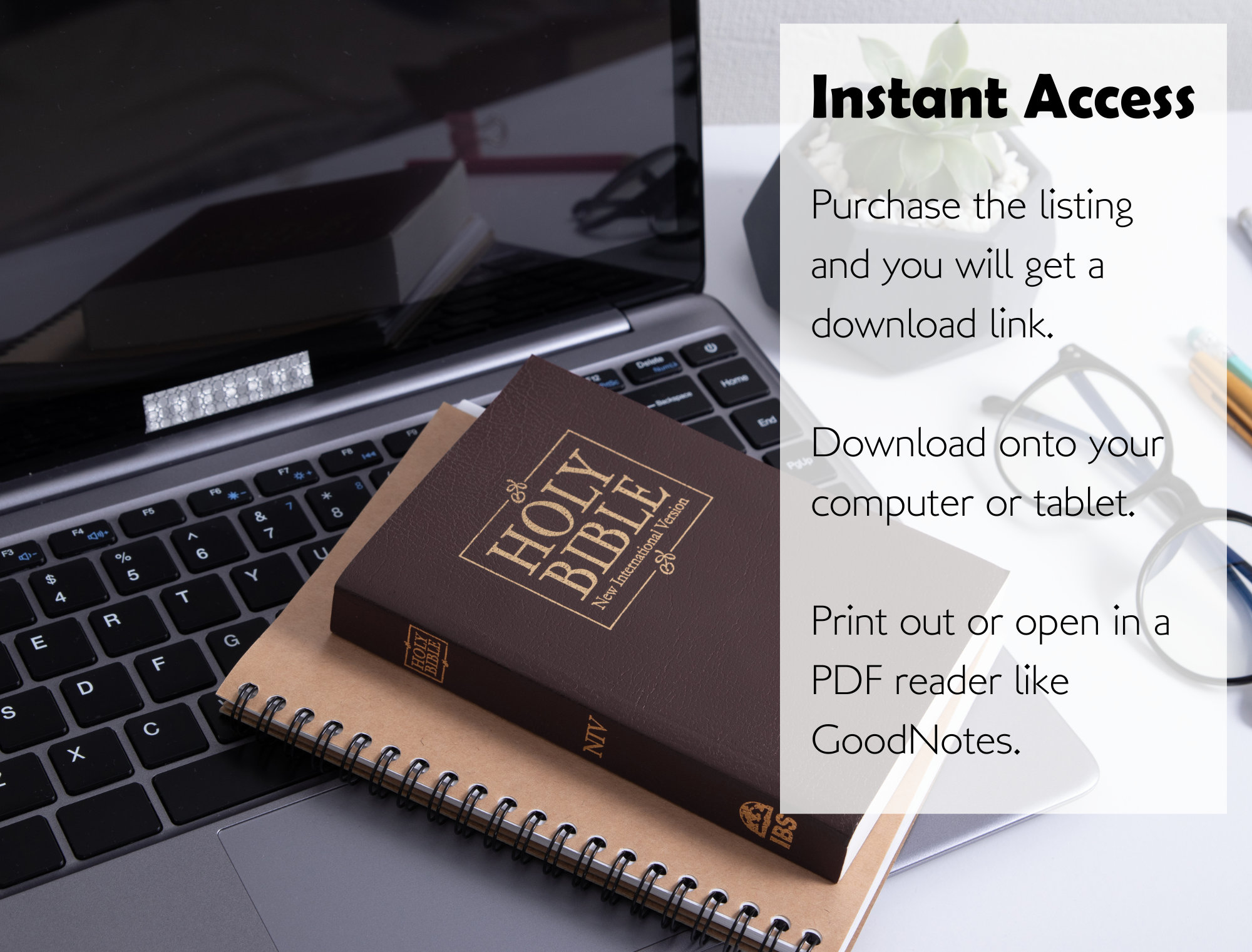 Book of John Study Guide - With Study & Reflection Questions for Each ...