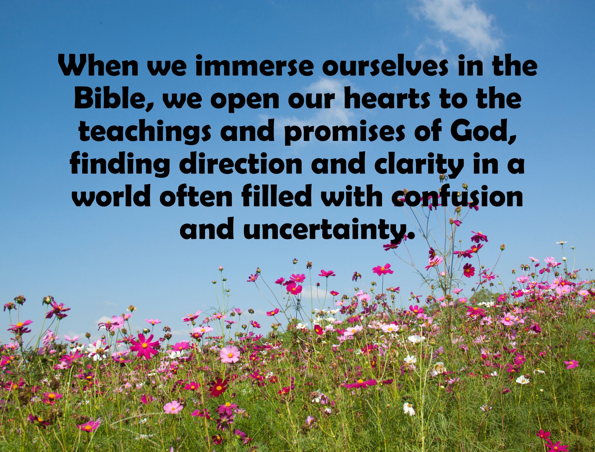 Book of John Study Guide - With Study & Reflection Questions for Each ...