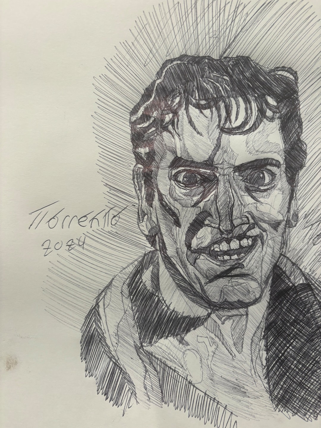Custom Ballpoint Pen Portrait - Etsy