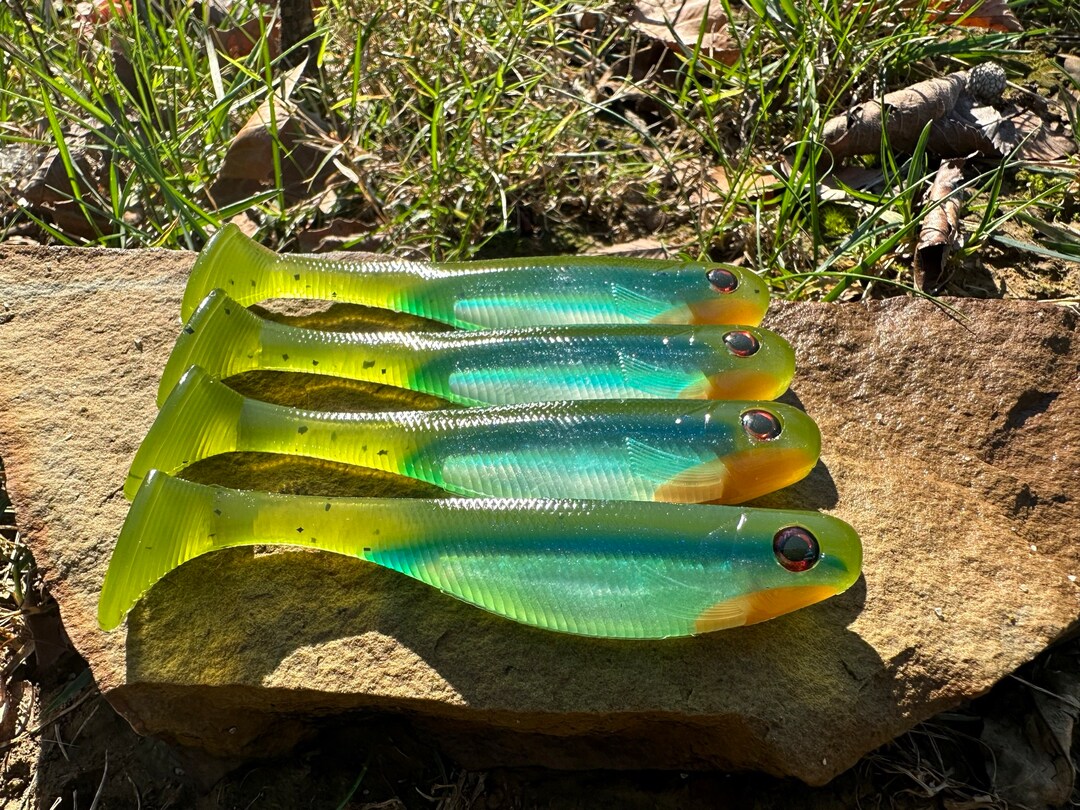 Orange Throated Sunfish Custom Hand-poured 4 Swimbaits - Etsy