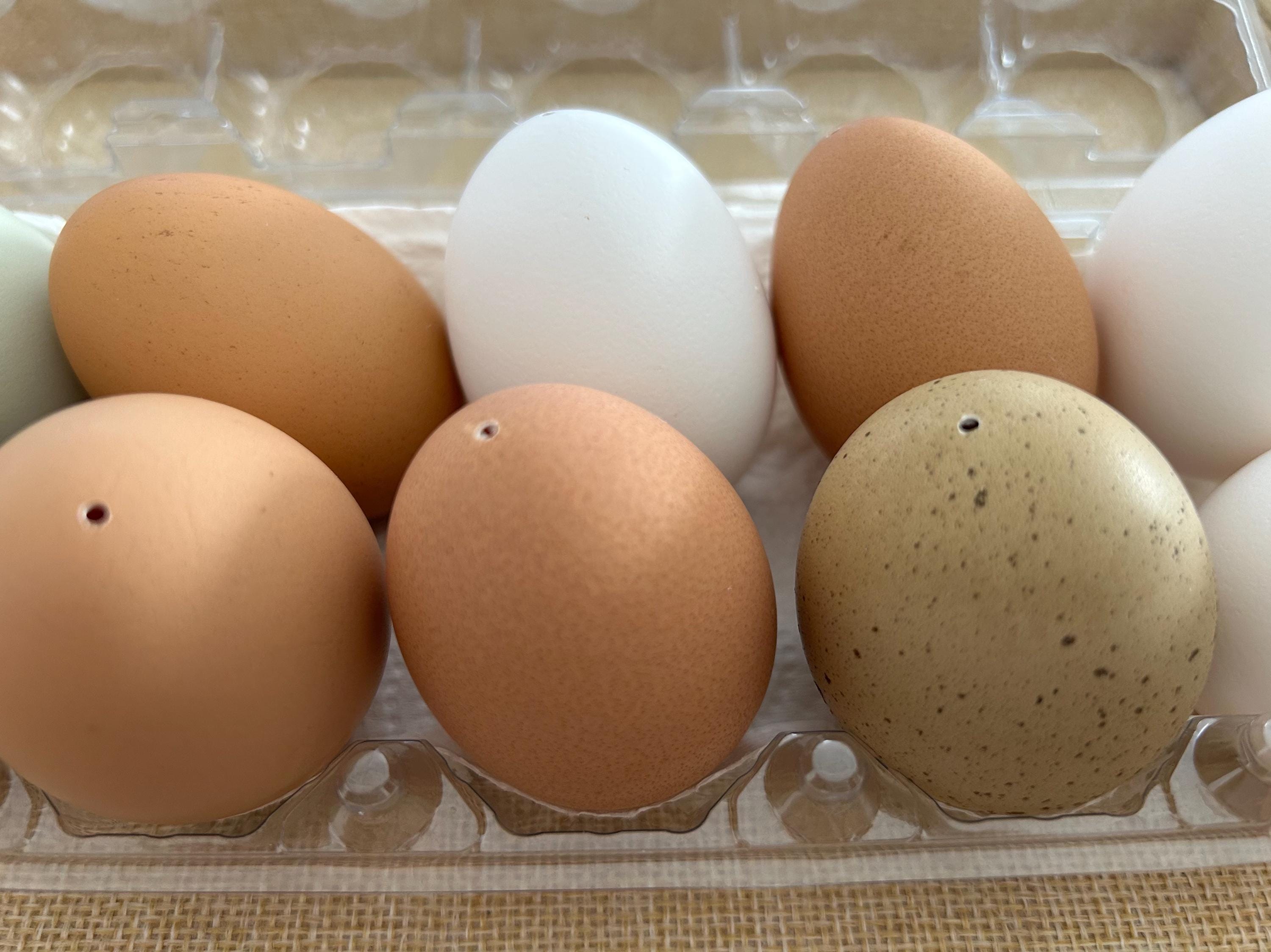 Dozen Hand Blown Eggs of Different Colors With Attached Thread Loops ...