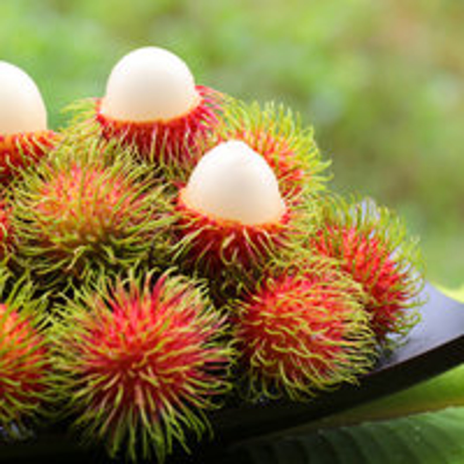 Ripe From Thailand to Your Doorstep: Organic Dried Rambutan Taste the ...