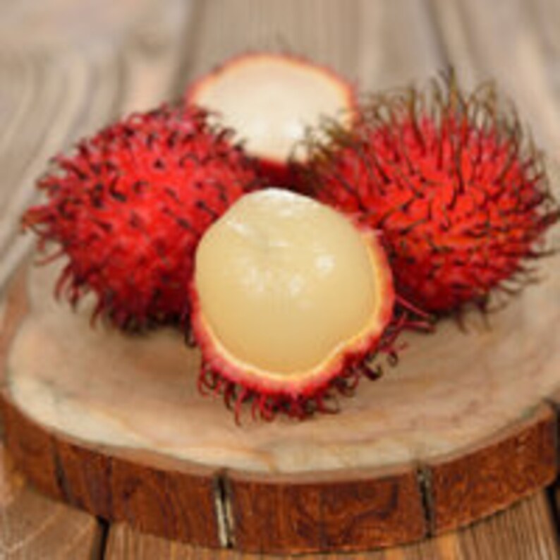 Ripe From Thailand to Your Doorstep: Organic Dried Rambutan Taste the ...