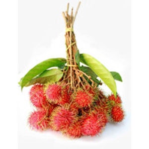 Ripe From Thailand to Your Doorstep: Organic Dried Rambutan Taste the ...