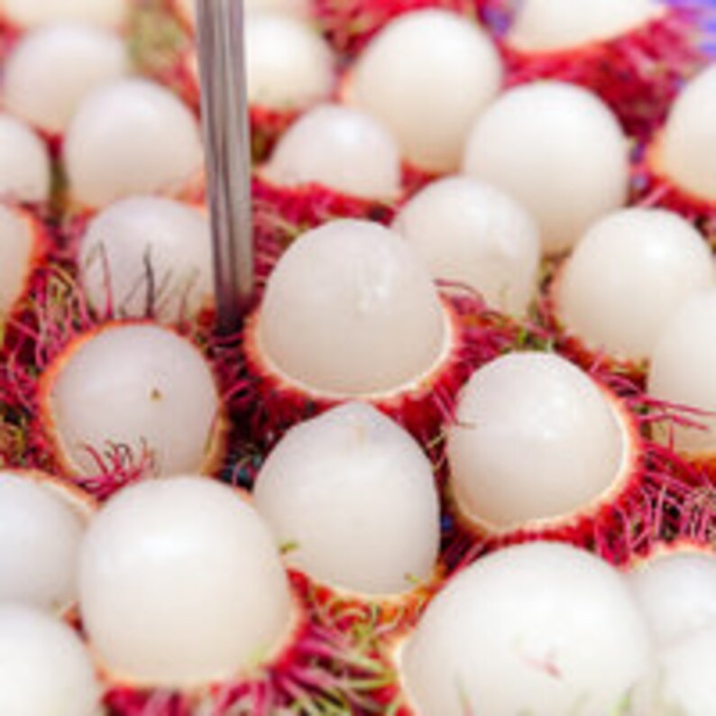 Ripe From Thailand to Your Doorstep: Organic Dried Rambutan Taste the ...