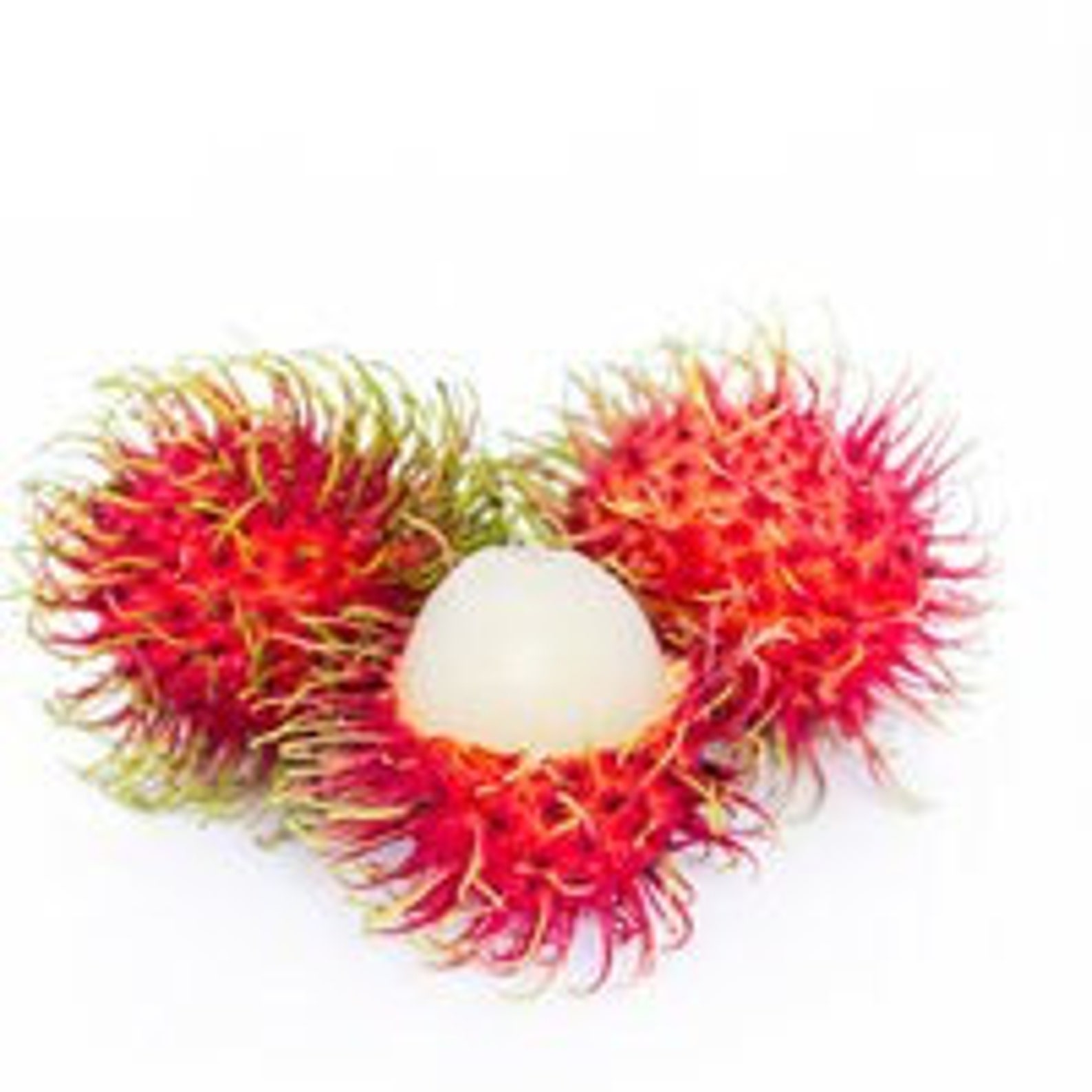 Ripe From Thailand to Your Doorstep: Organic Dried Rambutan Taste the ...